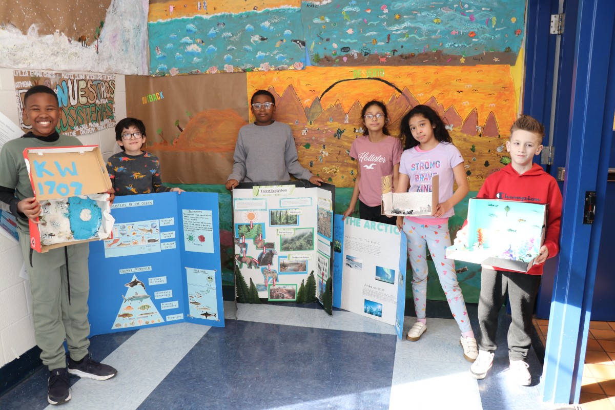 News Stories Archives - NECSD